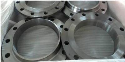 China FLG-4-S40-600-F51 - FLANGE 4