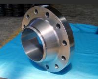 China WN Nickel Alloy Metal Flange ASTM/UNS N08800 4
