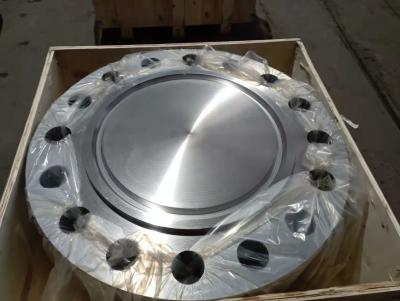 China BL Nickel Alloy Metal Flange ASTM/UNS N08800 1