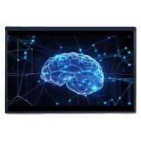 China 10.1 Inch Auto TFT Display For Car High Brightness LVDS 60 Interface for sale