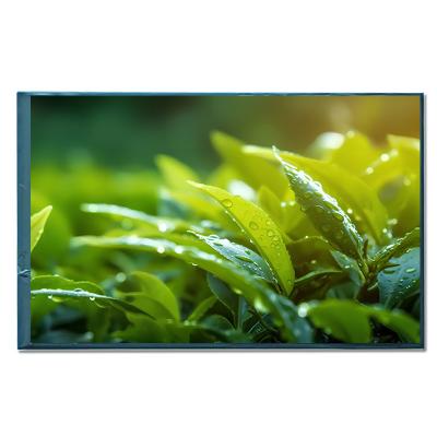 China 8 Inch IPS TFT LCD Monitor Module 800x1280 MIPI Interface Medical Display 500cd/m2 for sale