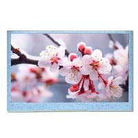 China 4.3 Inch TFT In Plane Switching LCD Display  With RGB Interface for sale