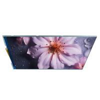 China 6.98 Inch Industrial Custom IPS TFT LCD Module Manufacturers for sale