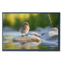 China 10.1 Inch Industrial TFT Display Module LCD TFT Touch Display for sale
