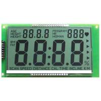 China Customized LCM Monochrome LCD Module 0.6mm Dot Pitch With Backlight for sale