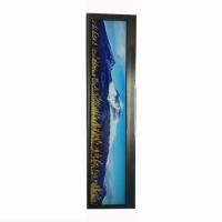 China IPS Sunlight Readable Industrial LCD Panel 9.8Inch 1024x100 LCD Advertising Display for sale