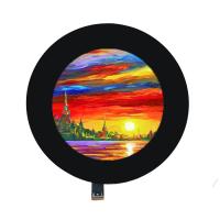 China MIPI Interface Round LCD Displays Panel 5 Inch 1080x1080 With Driver Board for sale