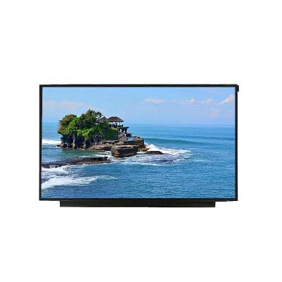 China 17.3 Inch 1920*1080 Industrial LCD Display Panel FHD Panel Mount Lcd for sale
