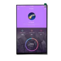 China Android LCD Display 8.0 Inch HMI TFT Capacitive Touch Panel 1024x768 for sale