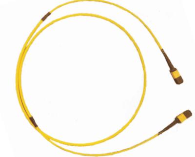 China Single Mode Fiber Optic MPO 24 Fiber MPO Connectors 100Gbps Protocols for sale