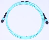China ODM Multimode Fiber Patch Cable , MPO Patch Cord IEC 61754 7 for sale