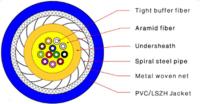 China Indoor Armored Fiber Optic Cable Multi Strand Single Core Spiral Steel for sale
