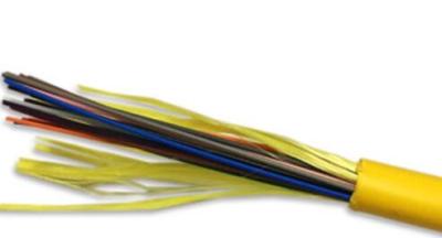 China PVC LSZH Fiber Distribution Cable Dia 8.5mm 24 Cores GJFJV-24B1 SM for sale