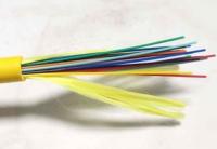 China SM Single Mode Optic Cable 48 Core LSZH GJFJV-48B1 Date Center 9/125 PE PVC for sale