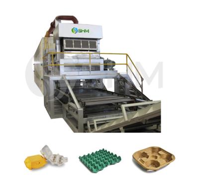 China Paper Tray Forming Machine Paper Pulp Packaging Machine for sale