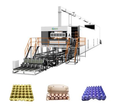China Automatic Waste Paper Pulp Egg Tray Making Machine Powerful Medical Tray Machine for sale