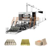 China High Capacity Egg Tray Manufacturing Machine Egg Tray Automatic Machine for sale
