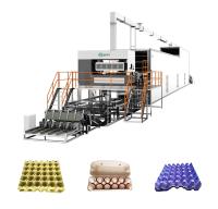 China Paper Pulp Egg Tray Maker Machine Fully Automatic 5000PCS/Hour for sale