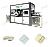 China Disposable Pulp Molding Tableware Machine Manufacturers for sale