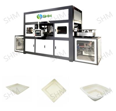 China Tableware Molded Pulp Machine Equipment Fully Automatic For Disposable Dish line for sale