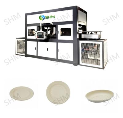 China Paper Tray Forming Machine Pulp Food Container Making Machine for sale