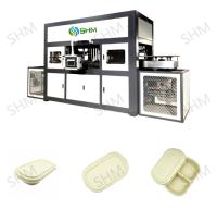 China Biodegradable Pulp Molding Tableware Machine Disposable Dish Line for sale