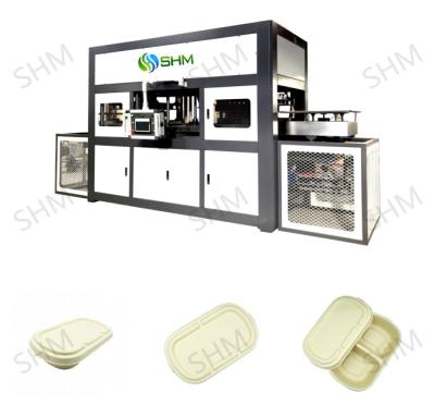 China Biodegradable Pulp Molding Tableware Machine Disposable Dish Line for sale