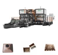 China Nursery Tray Making Machine High Capacity Seedling Tray Making Equipment for sale