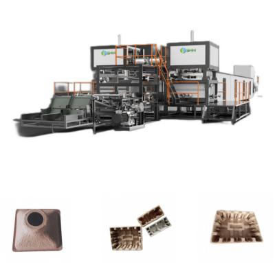 China Nursery Tray Making Machine High Capacity Seedling Tray Making Equipment for sale