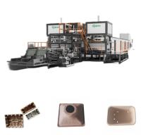 China Paddy Nursery Tray Machine Automatic Fiber Process Forming Machines for sale