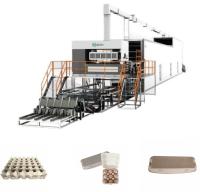 China Full Automatic Fiber Moulding Machine Fruit Tray Production Line for sale