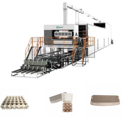 China Full Automatic Fiber Moulding Machine Fruit Tray Production Line for sale