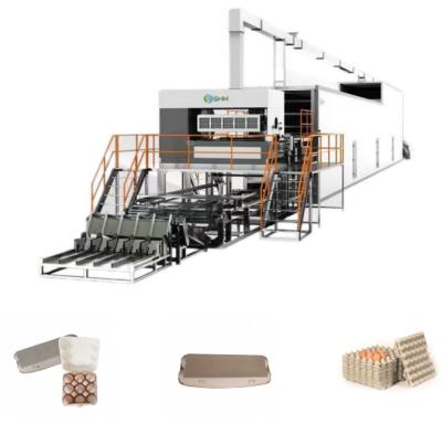 China High Speed Paper Egg Tray Making Machine Automatic Molded Pulp Machine for sale