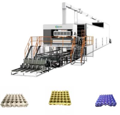 China Best Paper Pulp Egg Box Making Machine Full Automatic Egg Tray Maker for sale