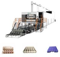 China Paper Pulp Fruit Tray Making Machine Production Line With Automatic Cleaning System for sale
