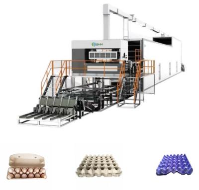 China Paper Pulp Fruit Tray Making Machine Production Line With Automatic Cleaning System for sale
