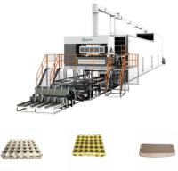 China Best Fully Automatic Industrial Paper Pulp Tray Making Machine for sale
