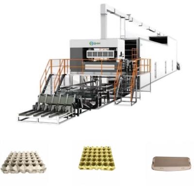 China Best Fully Automatic Industrial Paper Pulp Tray Making Machine for sale