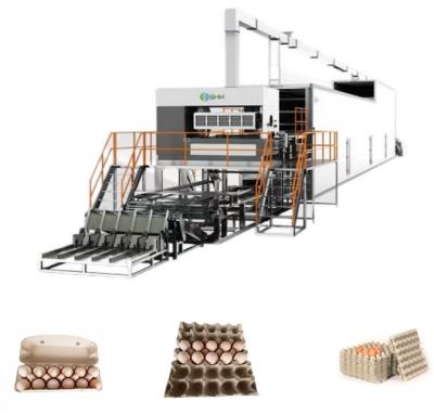 China Best Pulp Paper Egg Tray Making Machine Pulp Container Manufacturing for sale