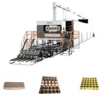 China Stable Corrugated Paper Tray Making Machine Pulp Molded Products for sale