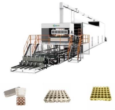 China Paper Tray Making Machine Pulp Molding Egg Tray Machine for sale