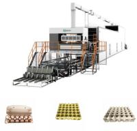 China Compact Paper Tray Making Machine precise Pulp Tray Forming Machine for sale