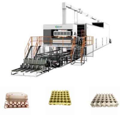 China Compact Paper Tray Making Machine precise Pulp Tray Forming Machine for sale