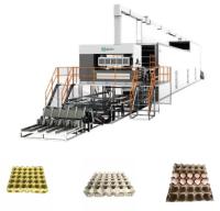 China Automatic Fruit Apple Tray Production Line Paper Pulp Molding Machine for sale