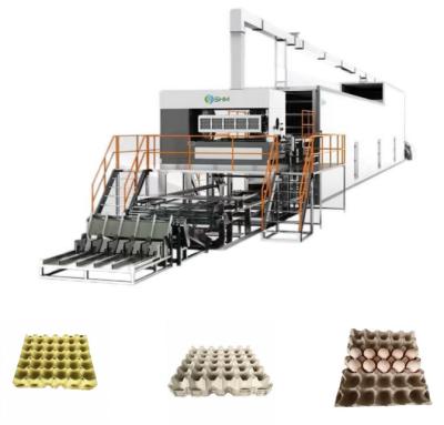 China Automatic Fruit Apple Tray Production Line Paper Pulp Molding Machine for sale