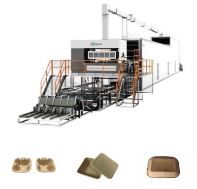 China Paper Pulp Fruit Tray Plates Making Machine Large Scale Fully Automatic for sale