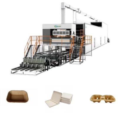 China High Speed Waste Paper Rotary Fruit Tray Forming Machine for sale
