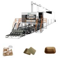 China Automatic Disposable Paper Cup Plate Making Machine Tray Making Equipment for sale