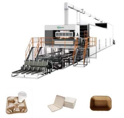 China Rotating Fruit Tray Making Machine High Precision Full Automatic for sale