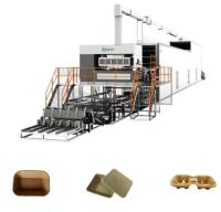 China Molded Fiber Fruit Apple Tray Machine Full Automatic Production Line for sale